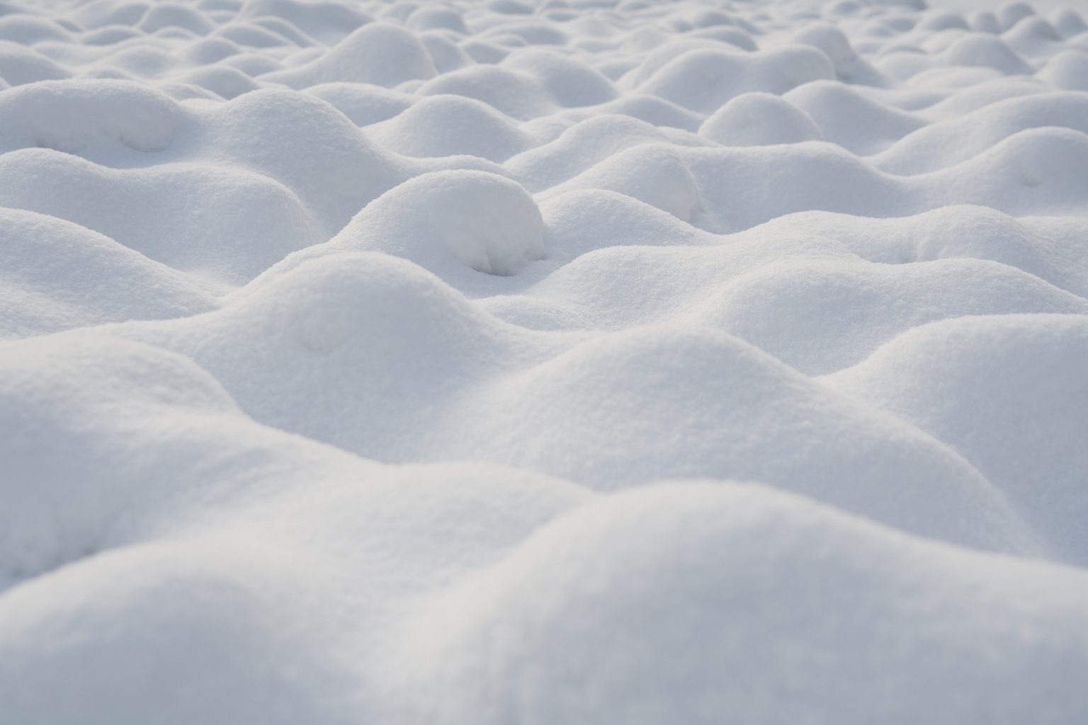 GreenSnow - Green Snow Agency